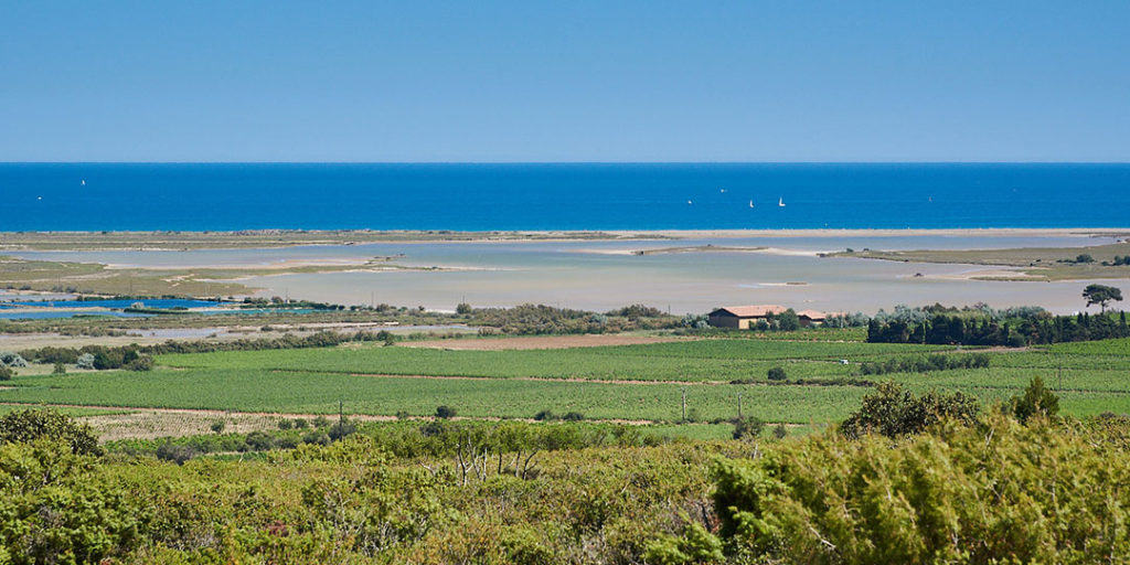LA CLAPE A HISTORIC TERROIR - Cave Coopérative La Vendémiaire de Fleury ...